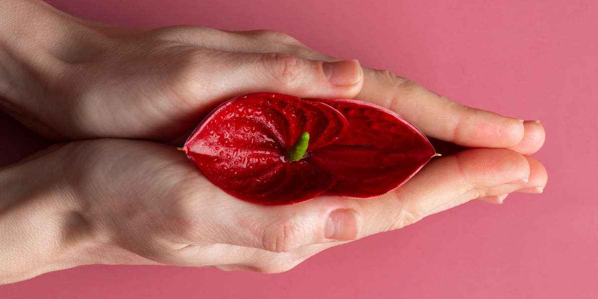 Follicular Phase: Understanding, Timing & Tips to Thrive During This ...