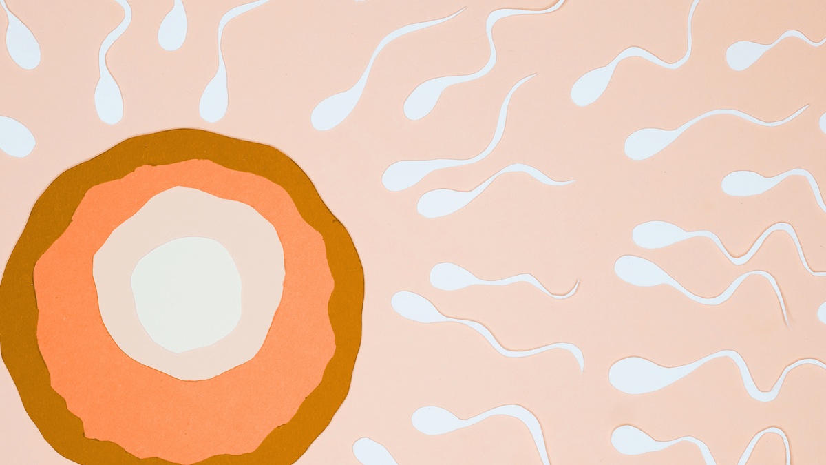 Tracking Your Cycle: Essential Guide to Fertility and Ovulation Timing ...